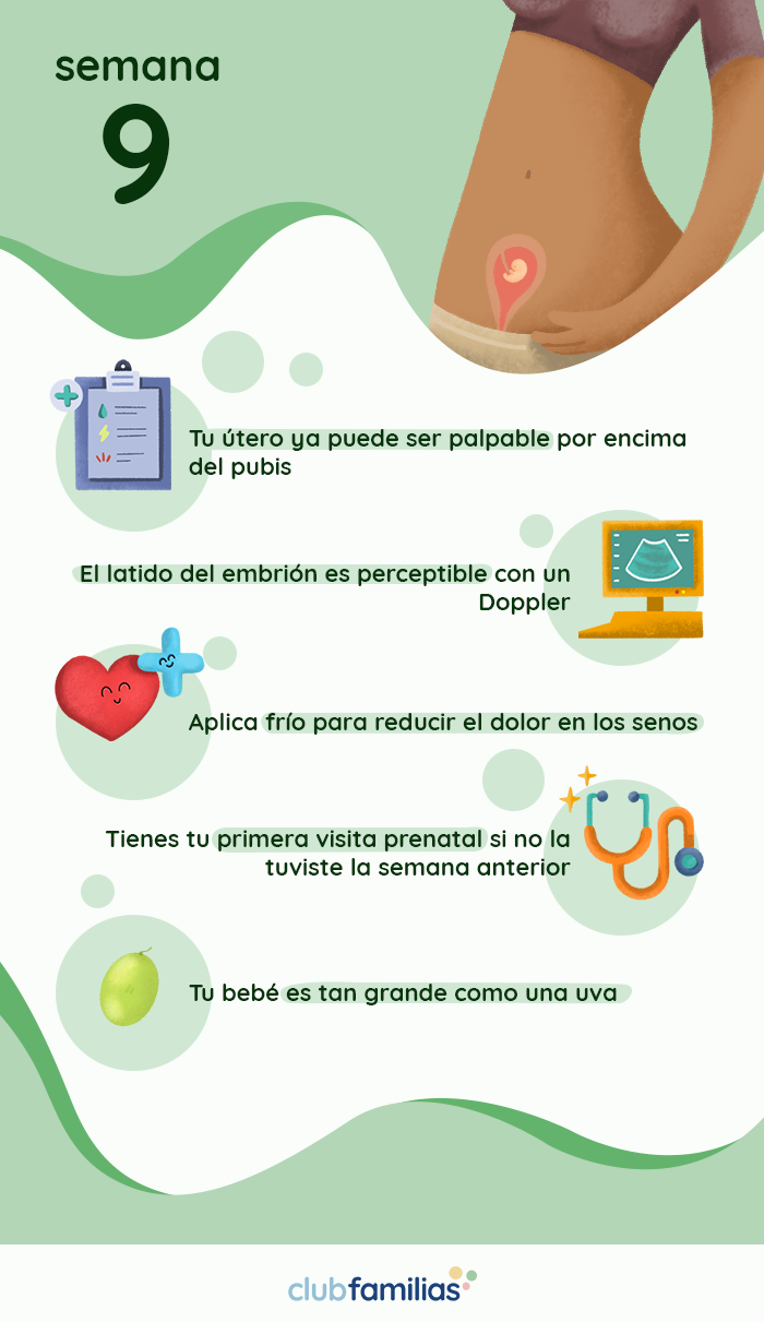 Semana 9 de embarazo | Club Familias