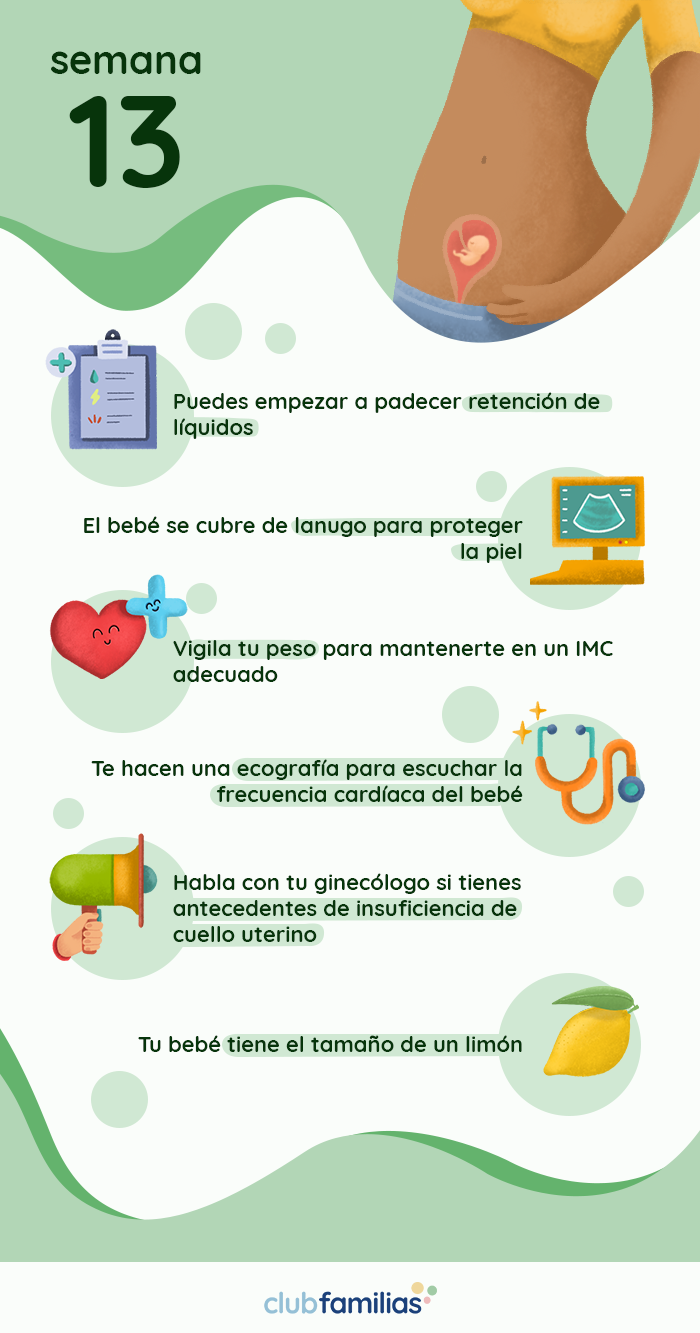 Semana 13 de embarazo | Club Familias
