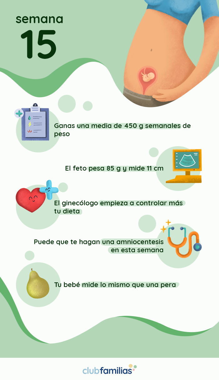 Semana 15 de embarazo | Club Familias