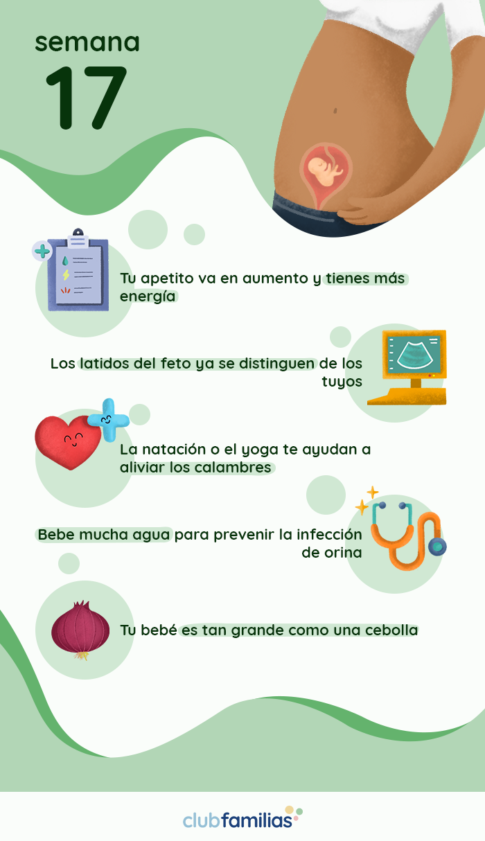 Semana 17 de embarazo | Club Familias