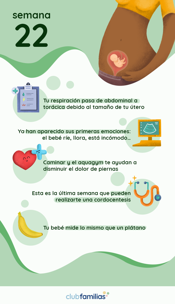 Semana 22 de embarazo | Club Familias