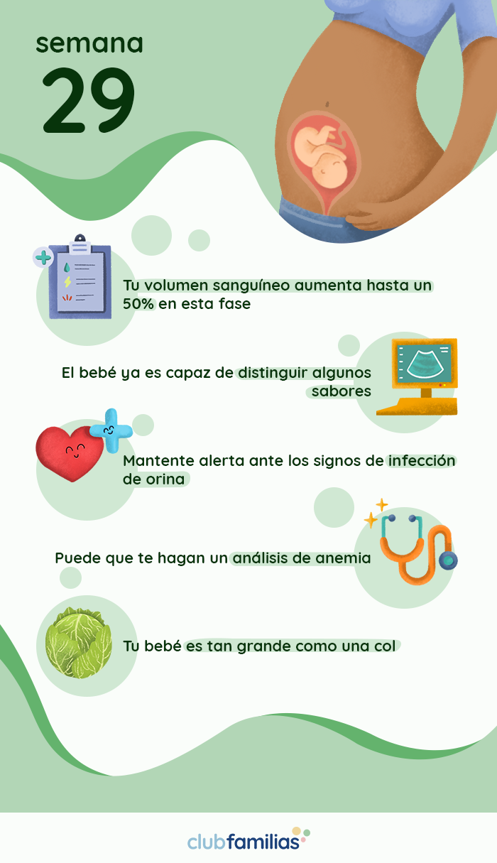 Semana 29 de embarazo | Club Familias