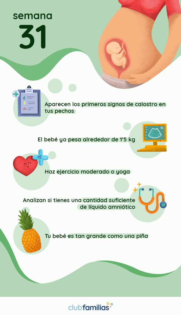 Semana 31 de embarazo | Club Familias