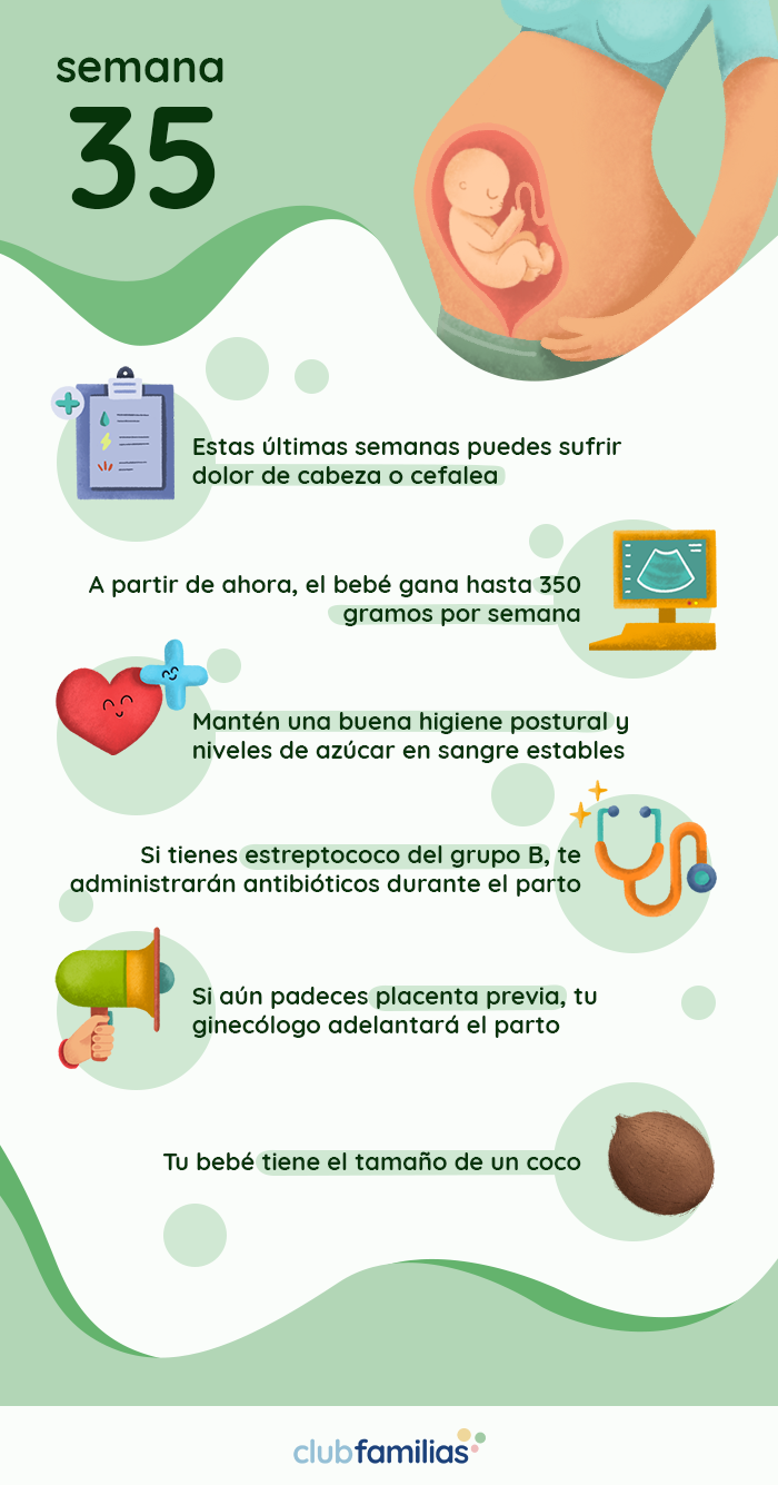 Semana 35 de embarazo | Club Familias