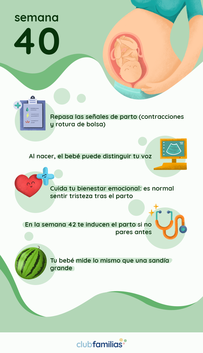 Semana 40 de embarazo | Club Familias
